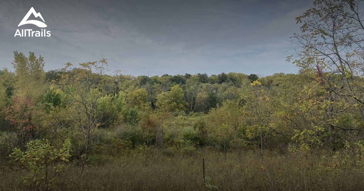 Best hikes and trails in Custer Park | AllTrails