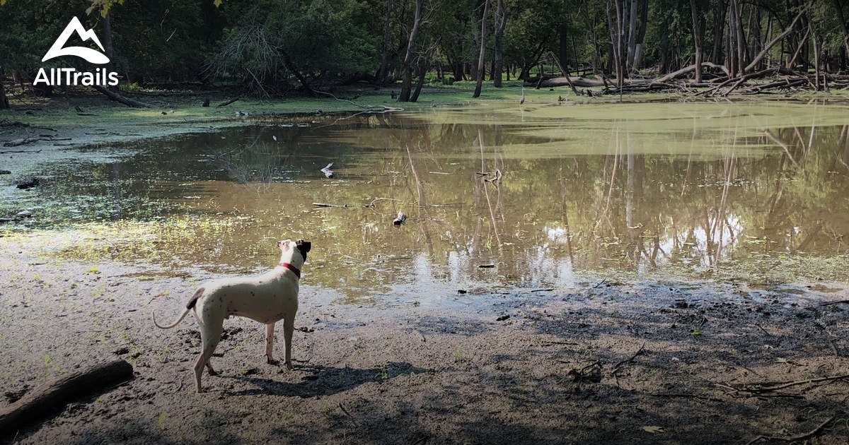 Die Besten Flusswege in Des Plaines | AllTrails