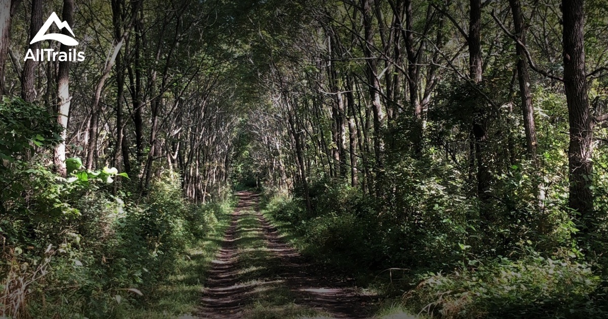 Best hikes and trails in Edwards | AllTrails