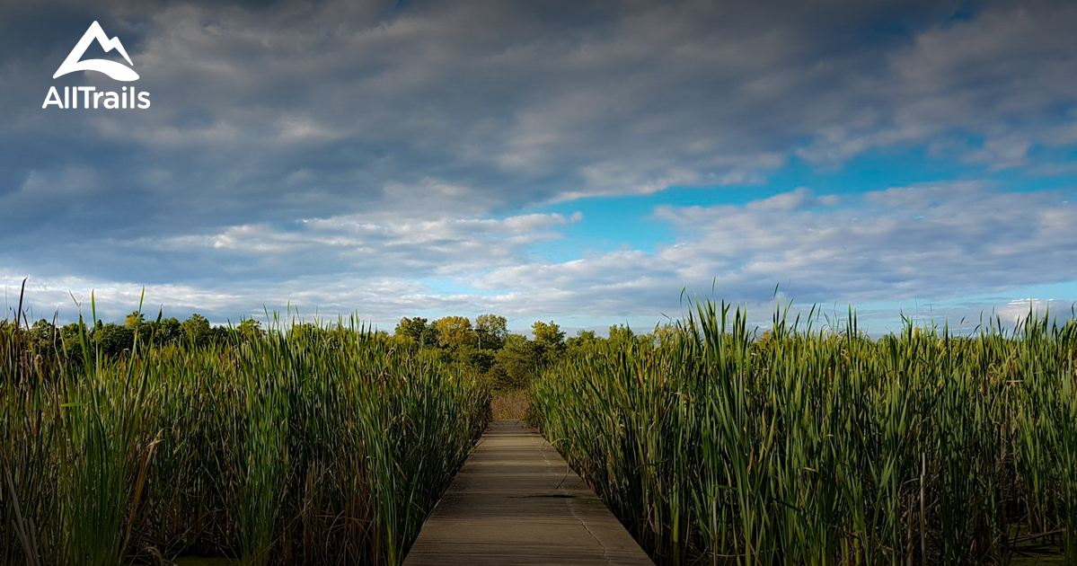 Edwardsville: as melhores trilhas para corrida | AllTrails