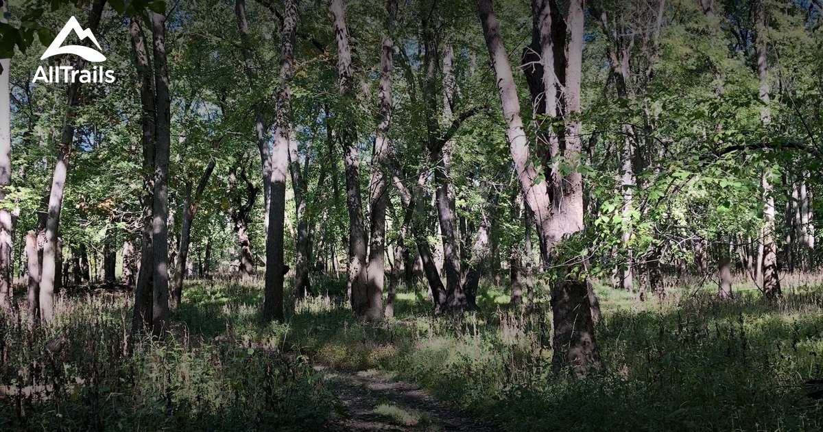 Best hikes and trails in Elwin | AllTrails