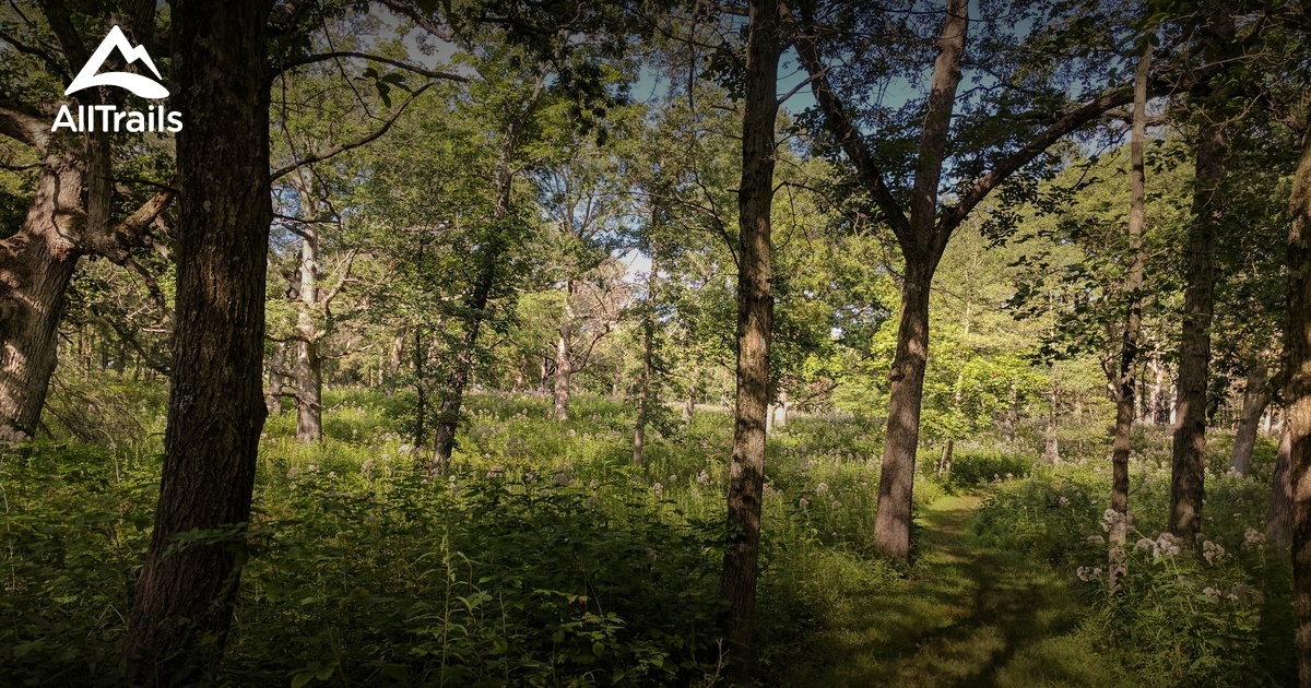 Best hikes and trails in Gridley | AllTrails