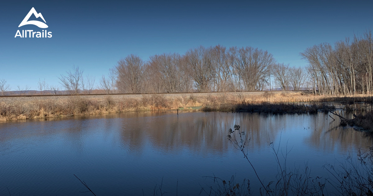 Best forest trails in Hanover | AllTrails