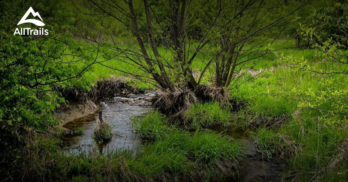 Best forest trails in Harvard | AllTrails