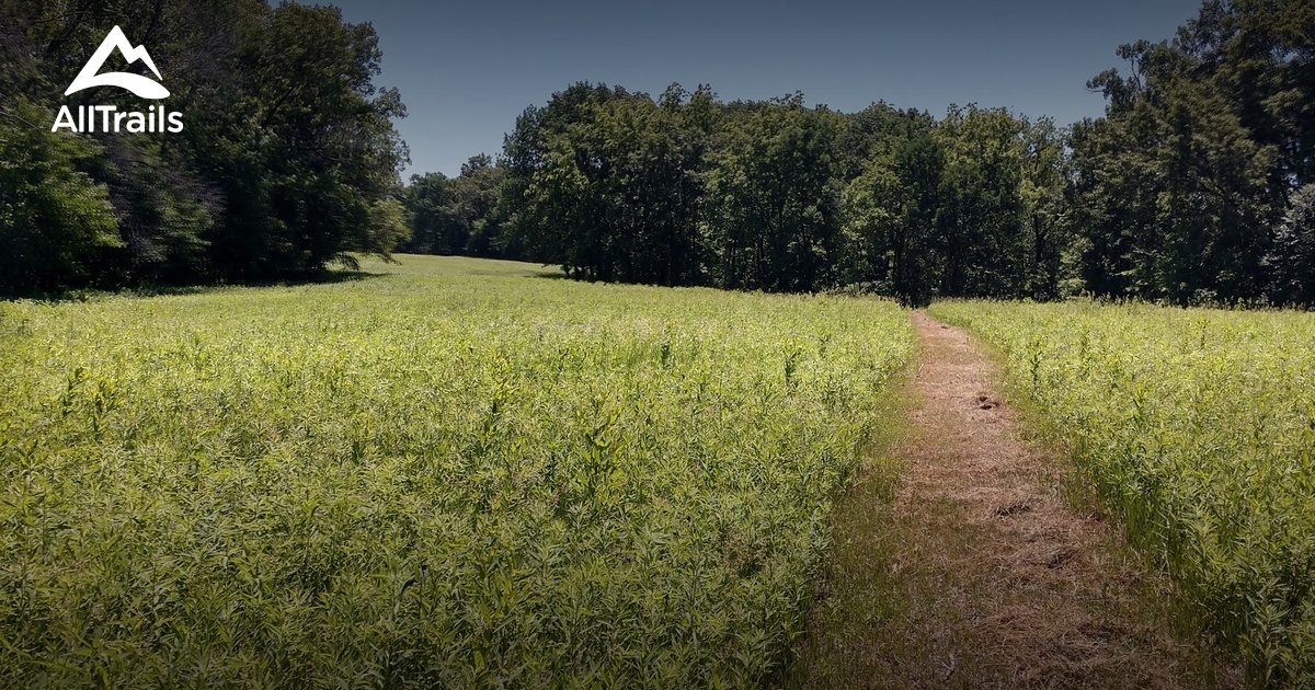 Best river trails in Illinois City | AllTrails