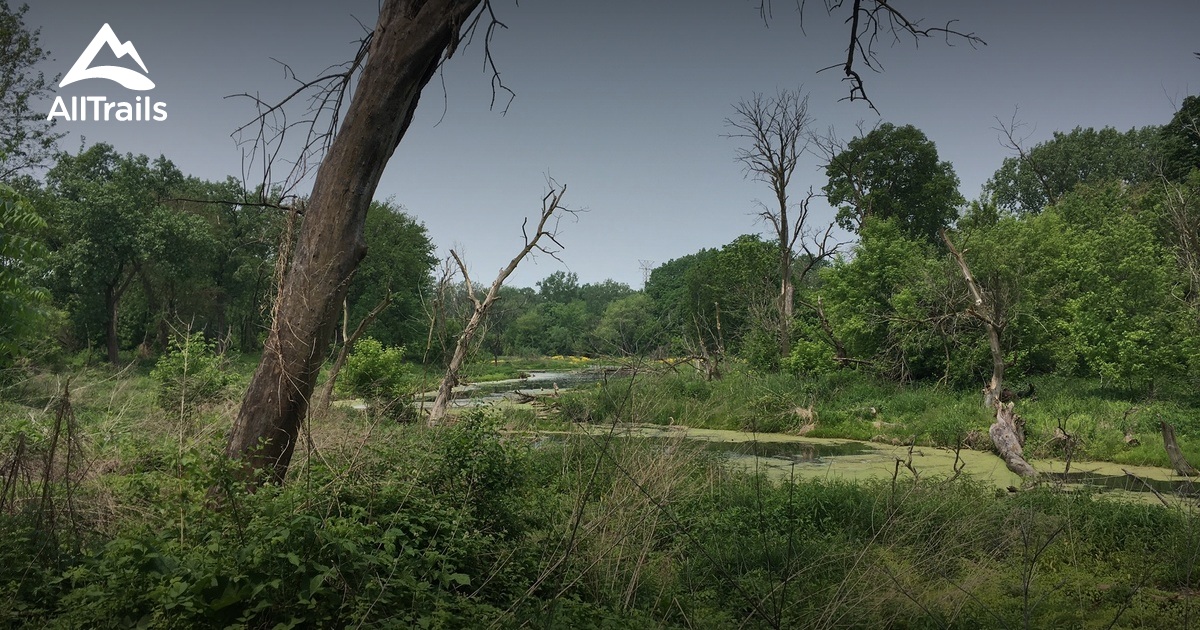 Best hikes and trails in Lyons | AllTrails