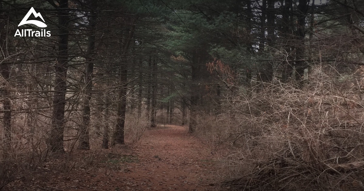 Best hikes and trails in Manito | AllTrails