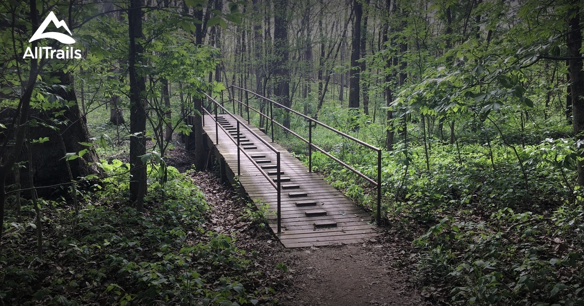 Best hikes and trails in Mount Zion | AllTrails