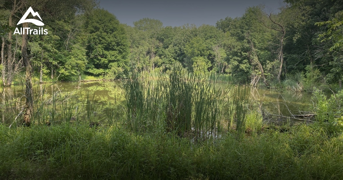 Best walking trails in New Lenox | AllTrails