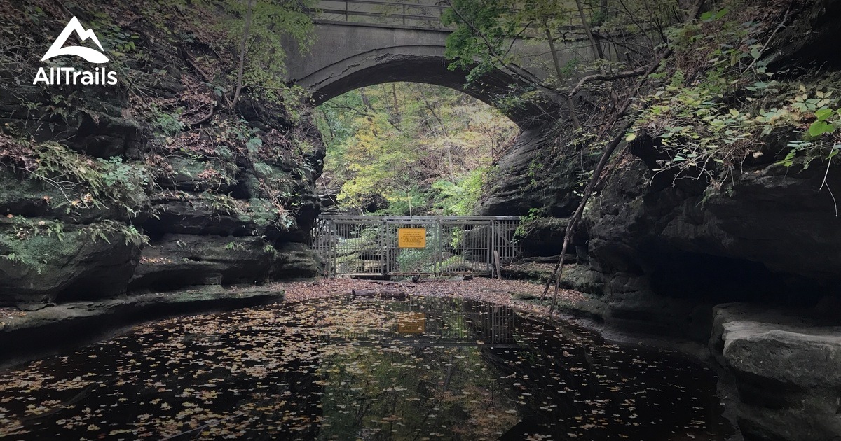 Best camping trails in Oglesby | AllTrails