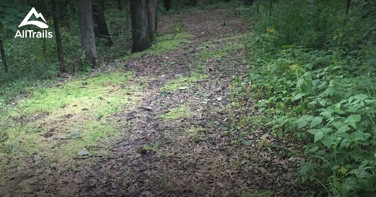 Best hikes and trails in Ramsey | AllTrails