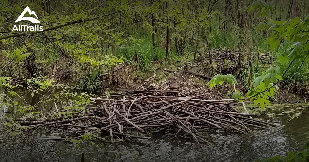 Best hikes and trails in Shirland | AllTrails