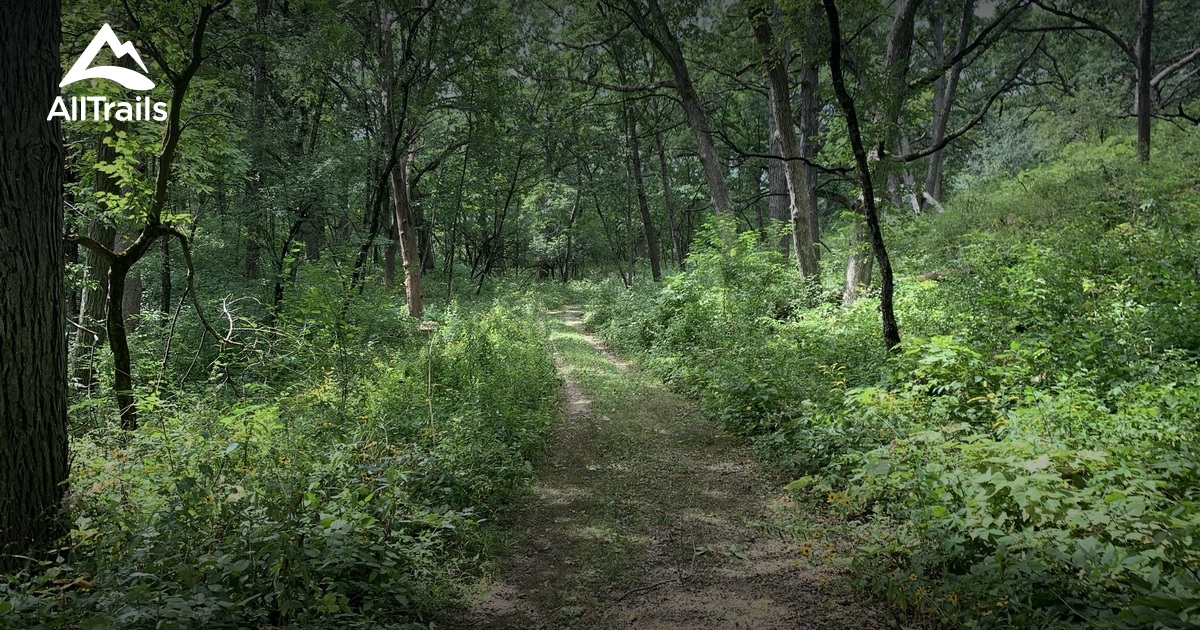 Best forest trails in Spring Grove | AllTrails