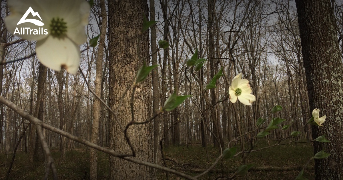 Best hikes and trails in Whittington | AllTrails