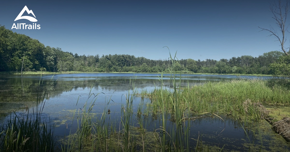 Best hikes and trails in Willowbrook | AllTrails