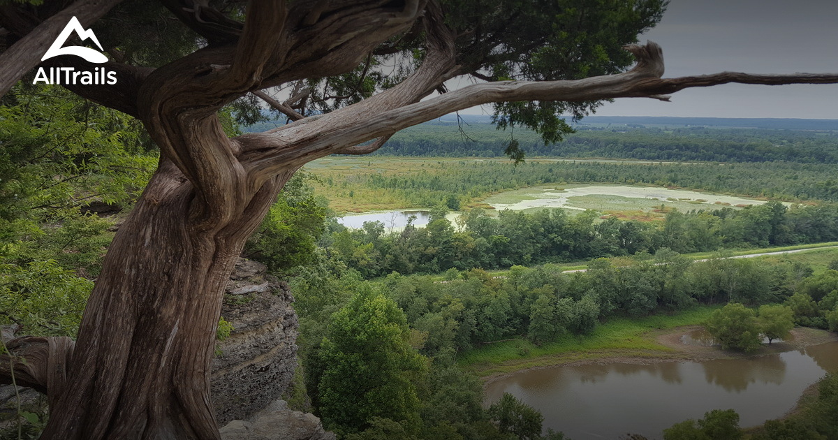 2023 Best Trails, Walks, and Paths in Wolf Lake | AllTrails