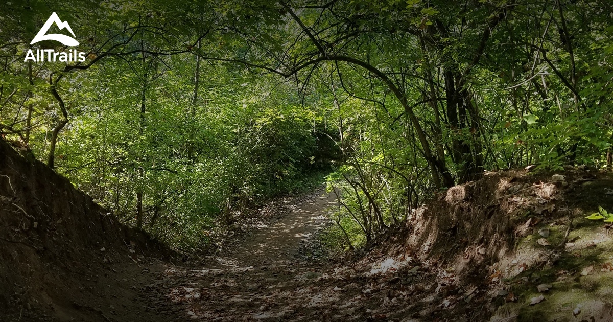 Best long trails in Anderson | AllTrails