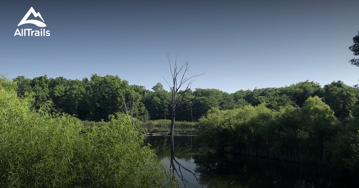 Best hikes and trails in Andrews | AllTrails