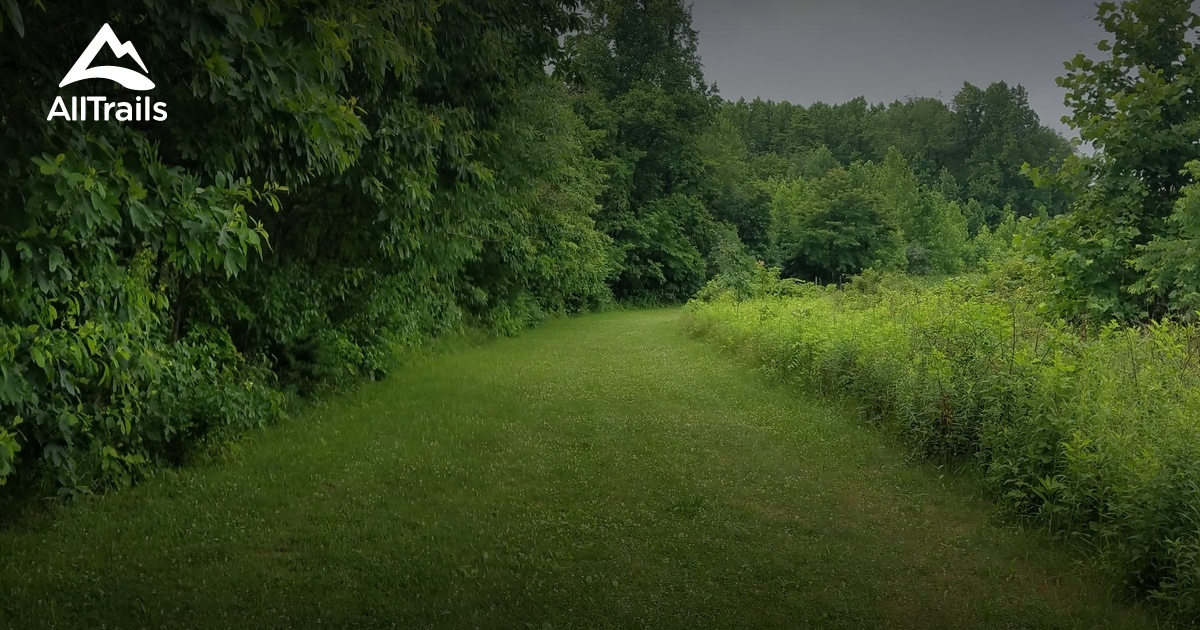 Best hikes and trails in Bainbridge | AllTrails