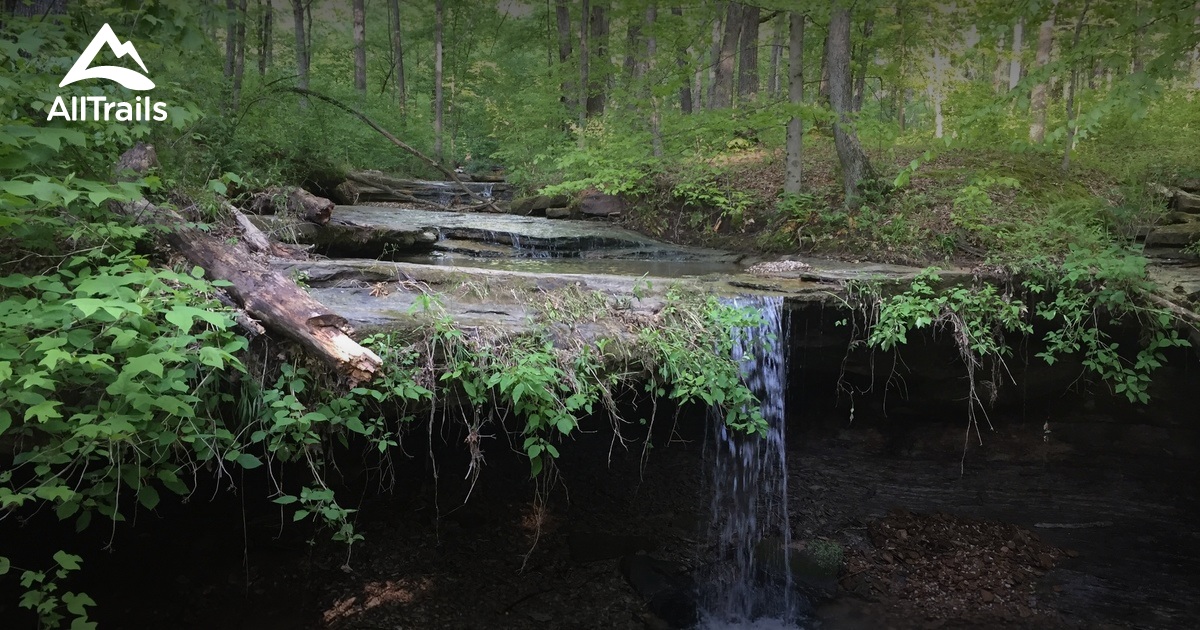 Best hikes and trails in Birdseye | AllTrails