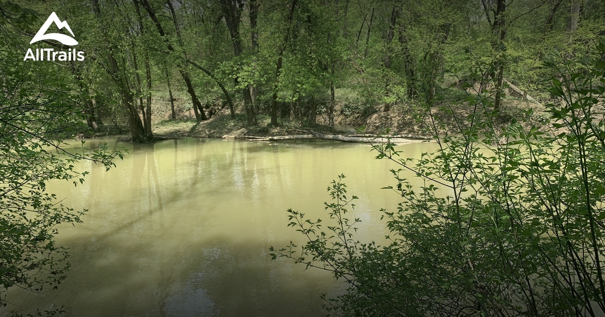 De beste bosroutes in Clarksville | AllTrails