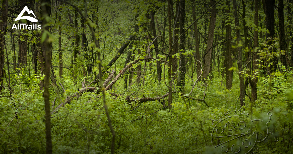 Best easy trails in Columbia City | AllTrails