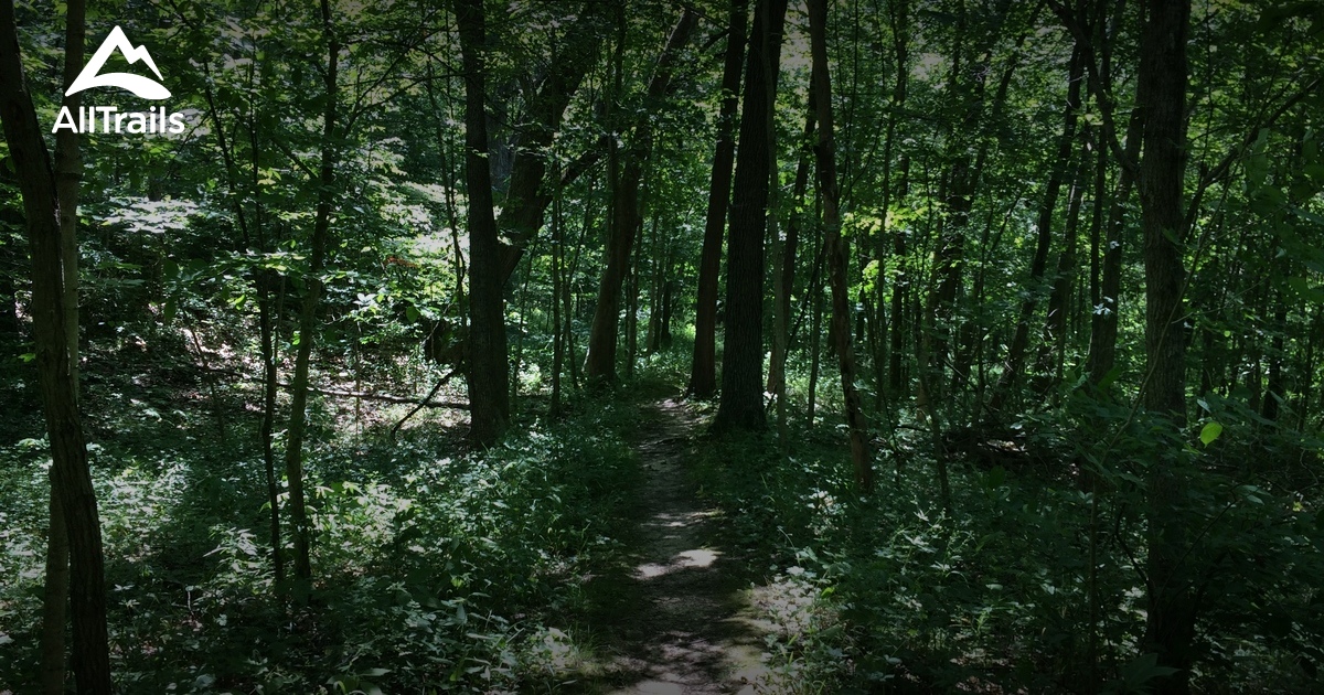 Best hikes and trails in Covington | AllTrails