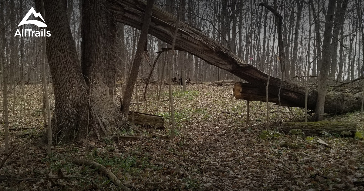 Best hikes and trails in Grabill | AllTrails