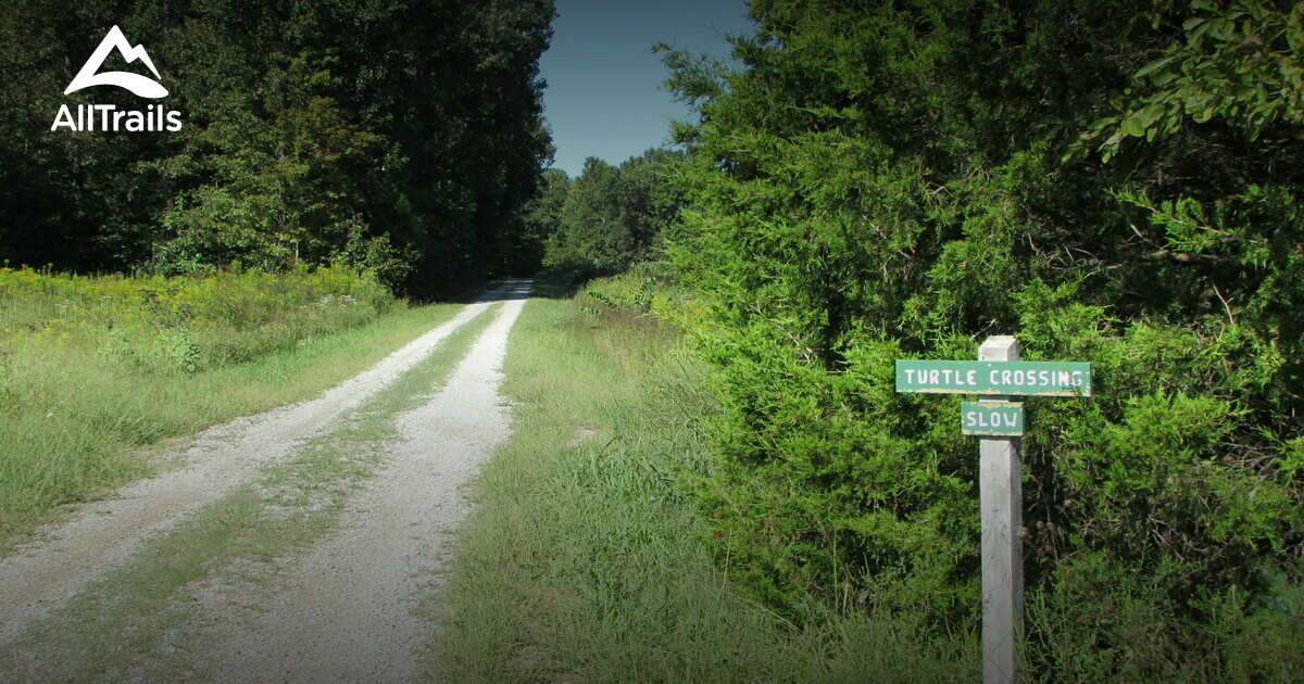 Best kid-friendly trails in Laconia | AllTrails