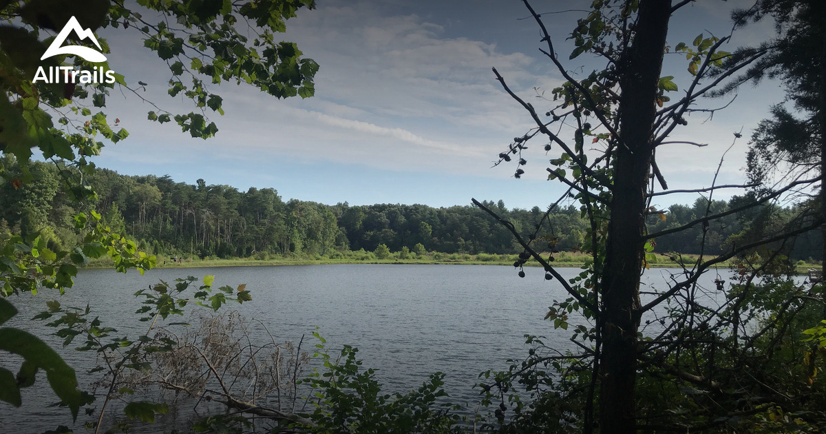 Best hikes and trails in Lincoln City | AllTrails