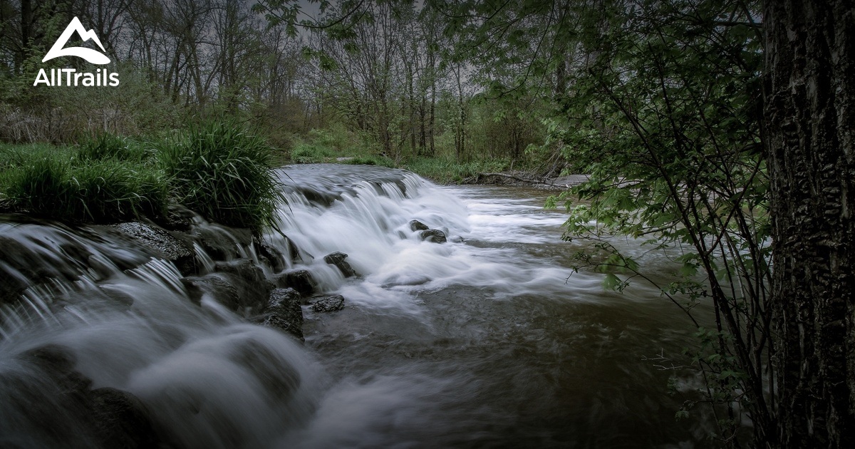 Best forest trails in Middlebury | AllTrails