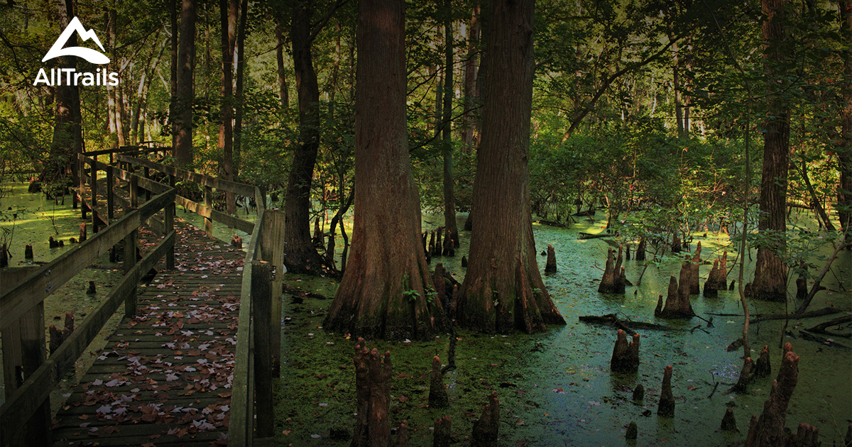 Best hikes and trails in Mount Vernon | AllTrails