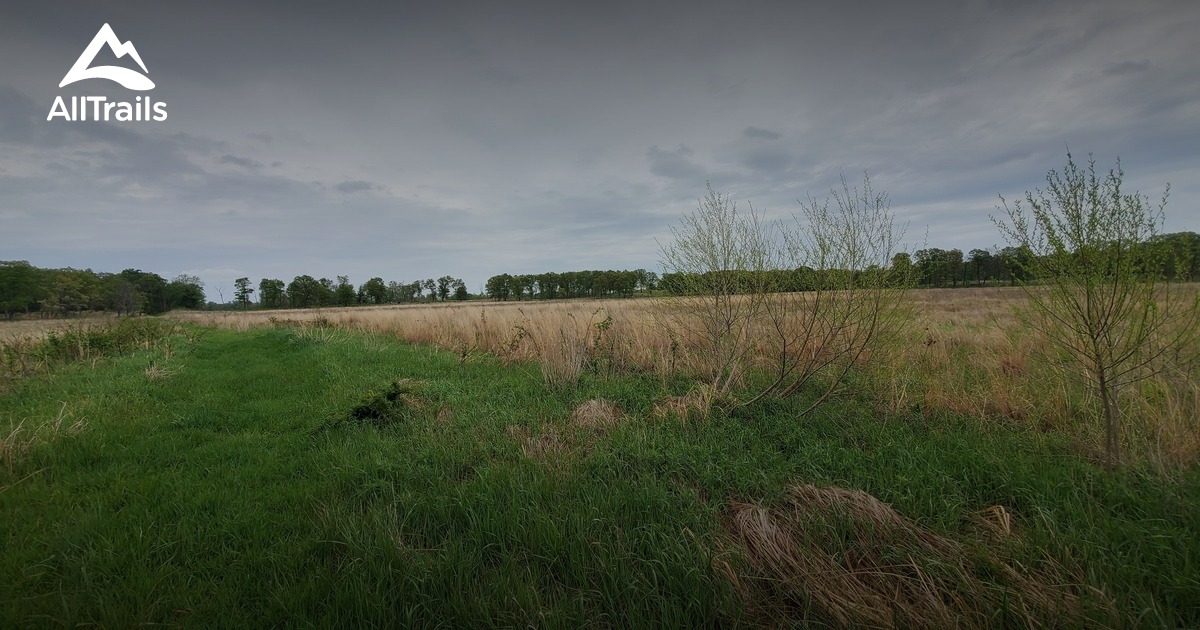 Best hikes and trails in San Pierre | AllTrails