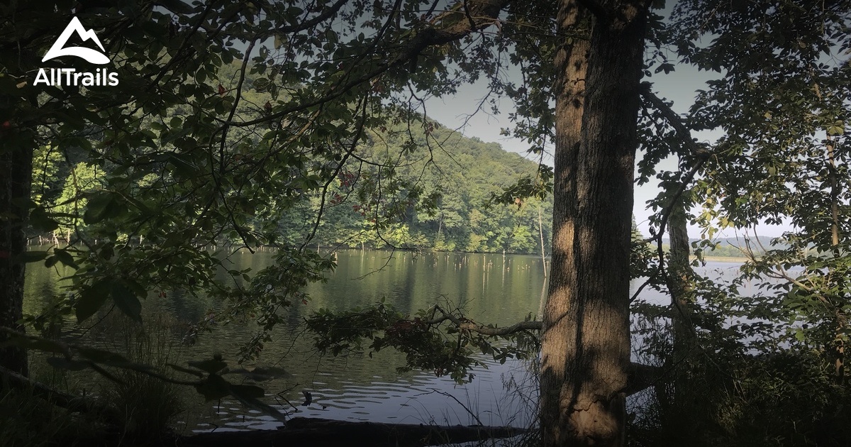 Best hikes and trails in Scottsburg | AllTrails
