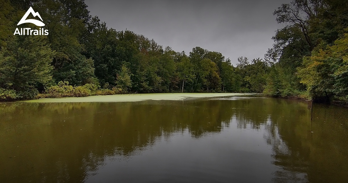 Best hikes and trails in Silver Lake | AllTrails