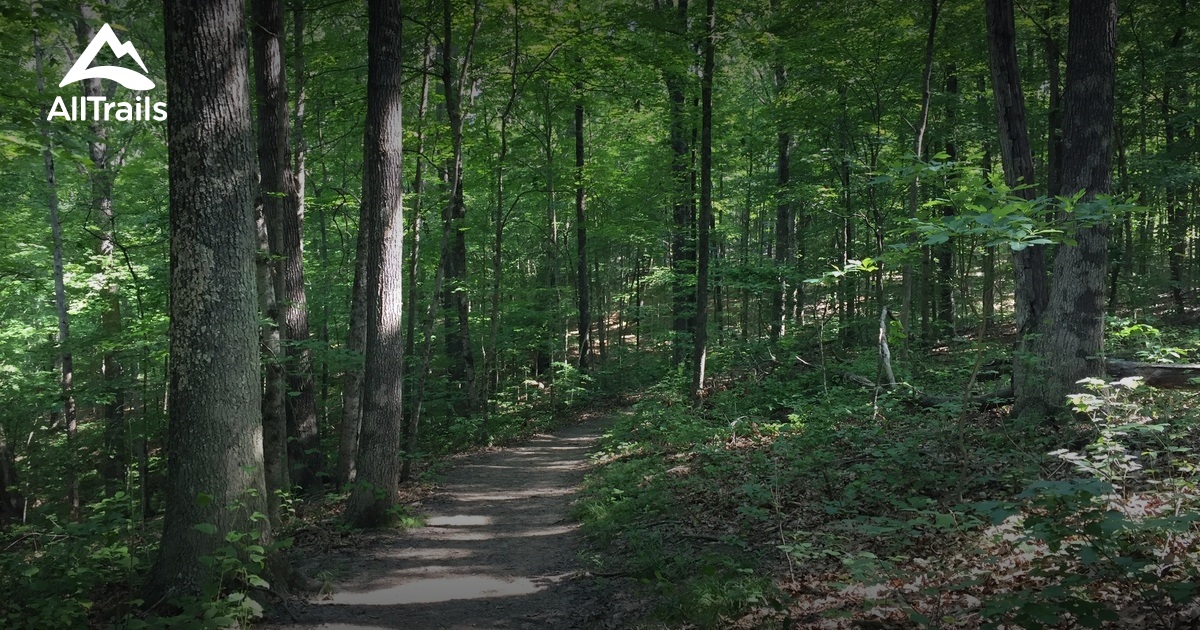 Best forest trails in Smithville | AllTrails
