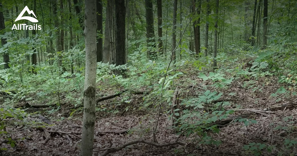 Best hikes and trails in Sulphur | AllTrails