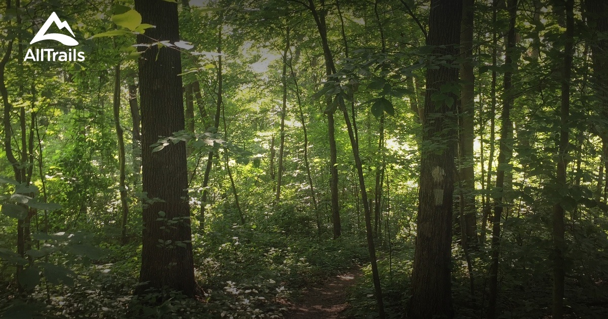 Best hikes and trails in Unionville | AllTrails