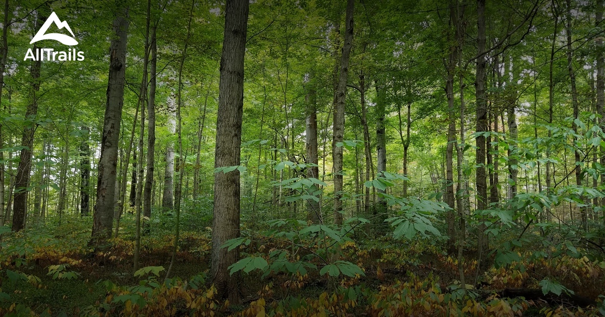 Best hikes and trails in Waldron | AllTrails