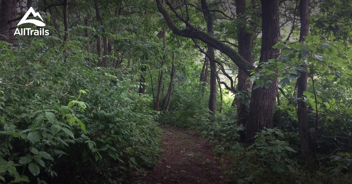 Best hikes and trails in Wolcott | AllTrails