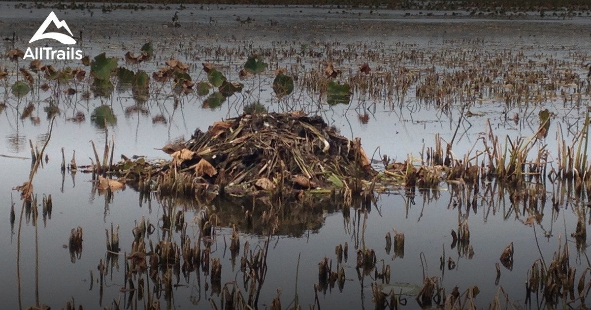 Best short trails in Amana | AllTrails