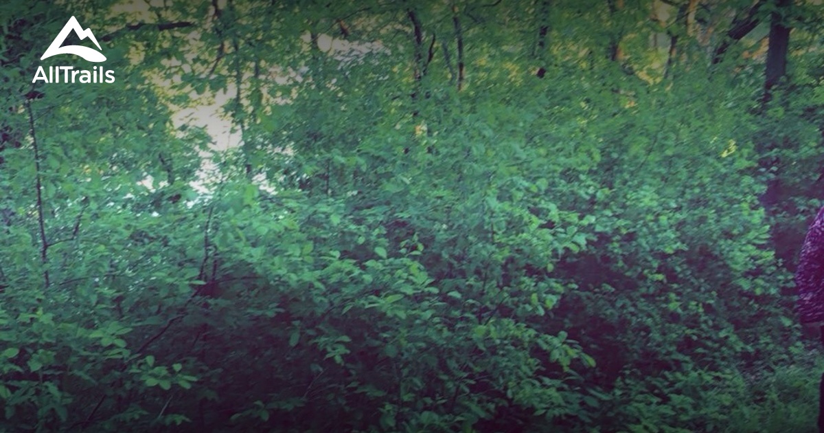 Best hikes and trails in Badger | AllTrails