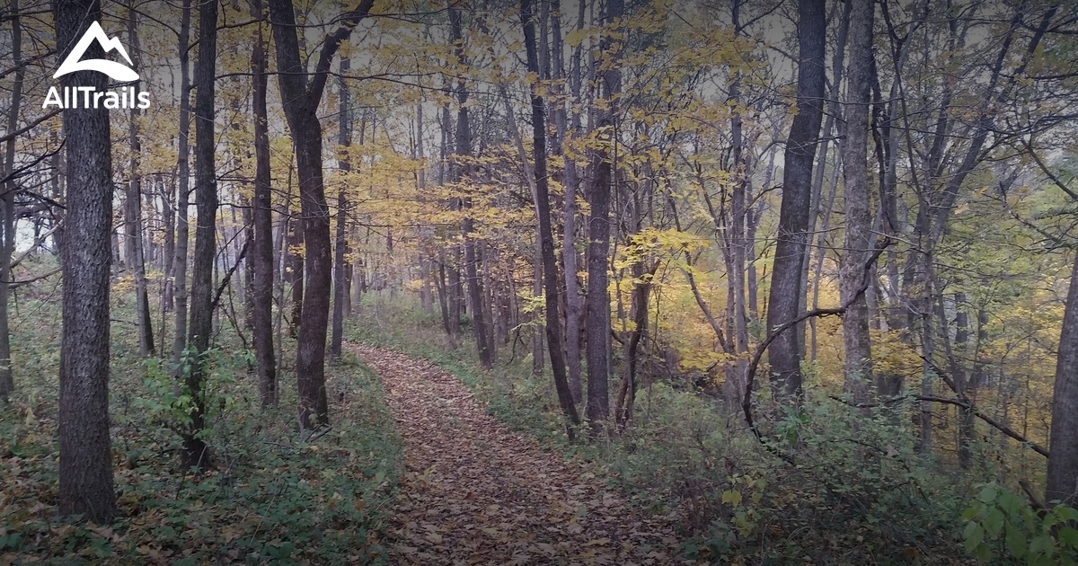 Best river trails in Baldwin | AllTrails