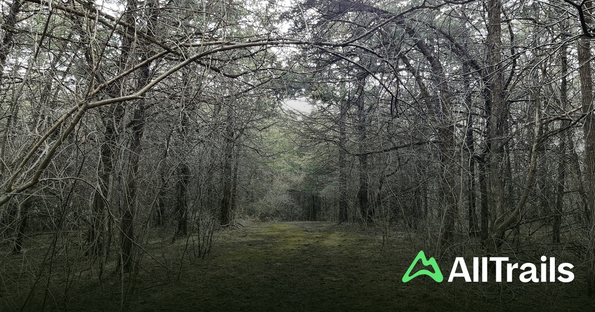 Best hikes and trails in Miles | AllTrails