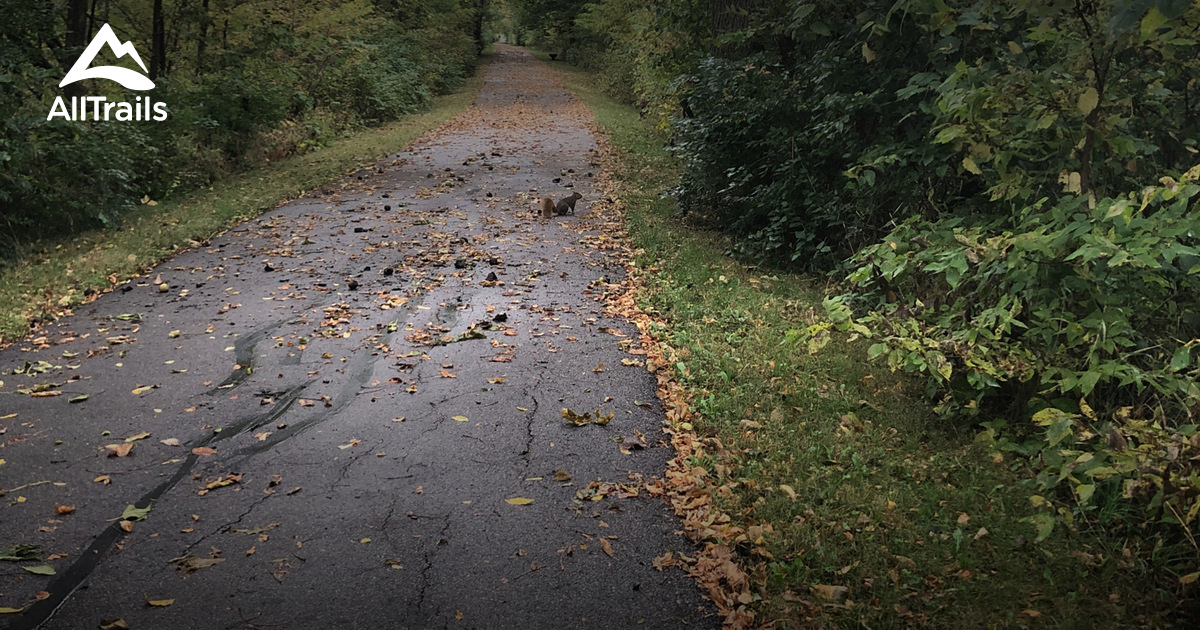 Best hikes and trails in Mount Ayr | AllTrails