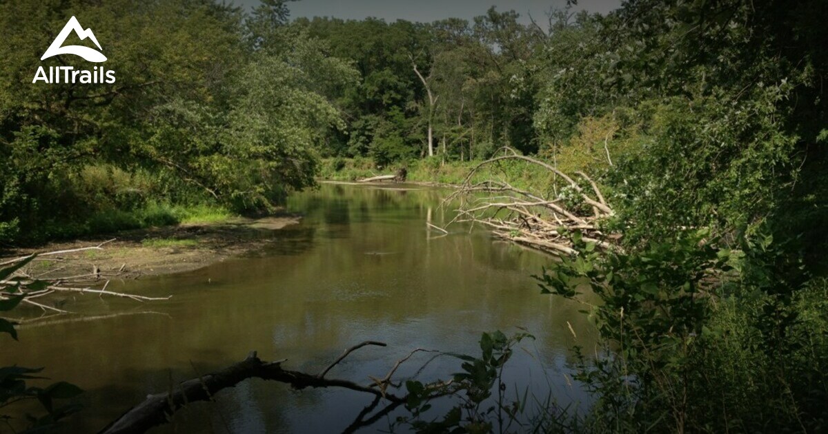 10 Best forest trails in Waterloo | AllTrails