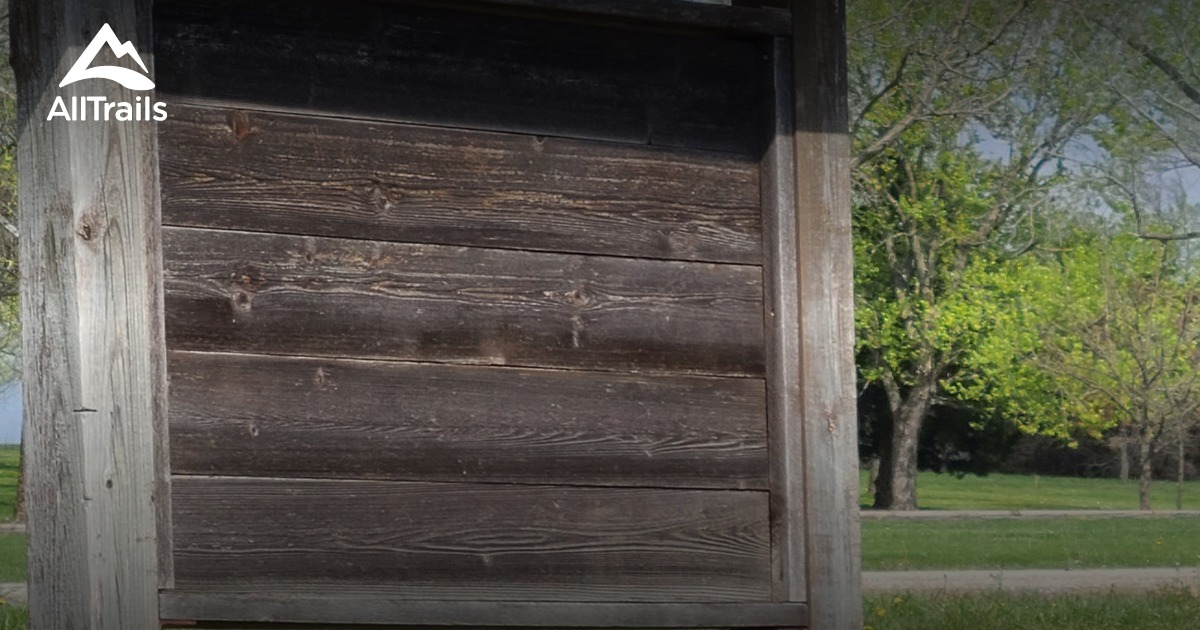 Best forest trails in Vassar | AllTrails