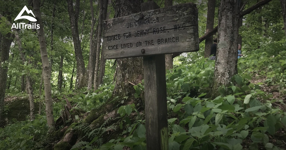 Best forest trails in Ashcamp | AllTrails