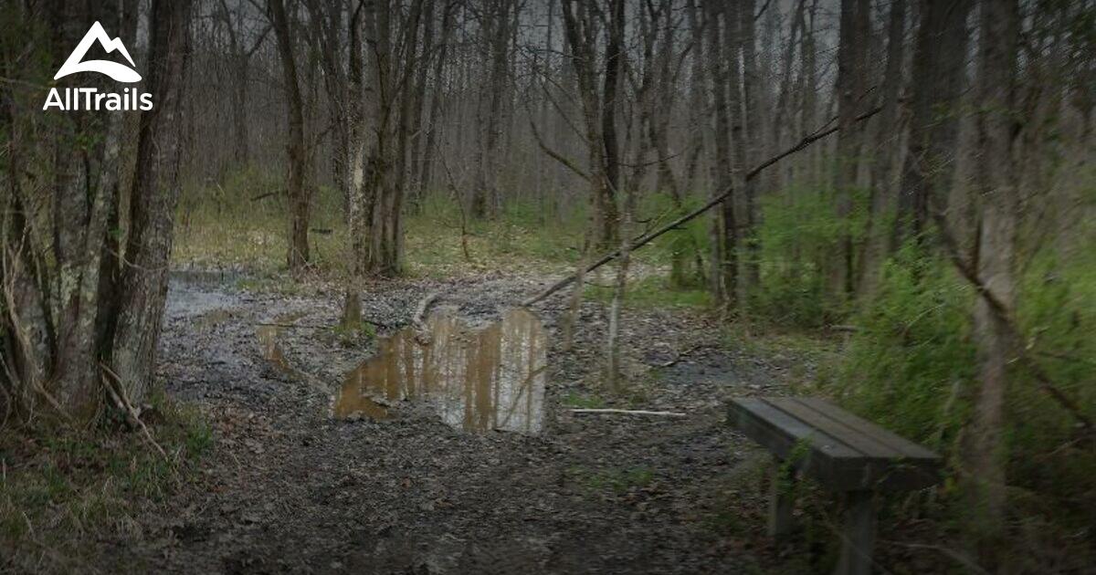 Best hikes and trails in Barbourville | AllTrails