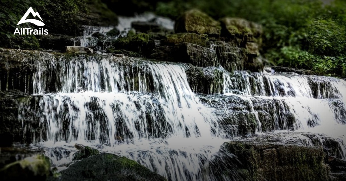 Best hikes and trails in Burgin | AllTrails